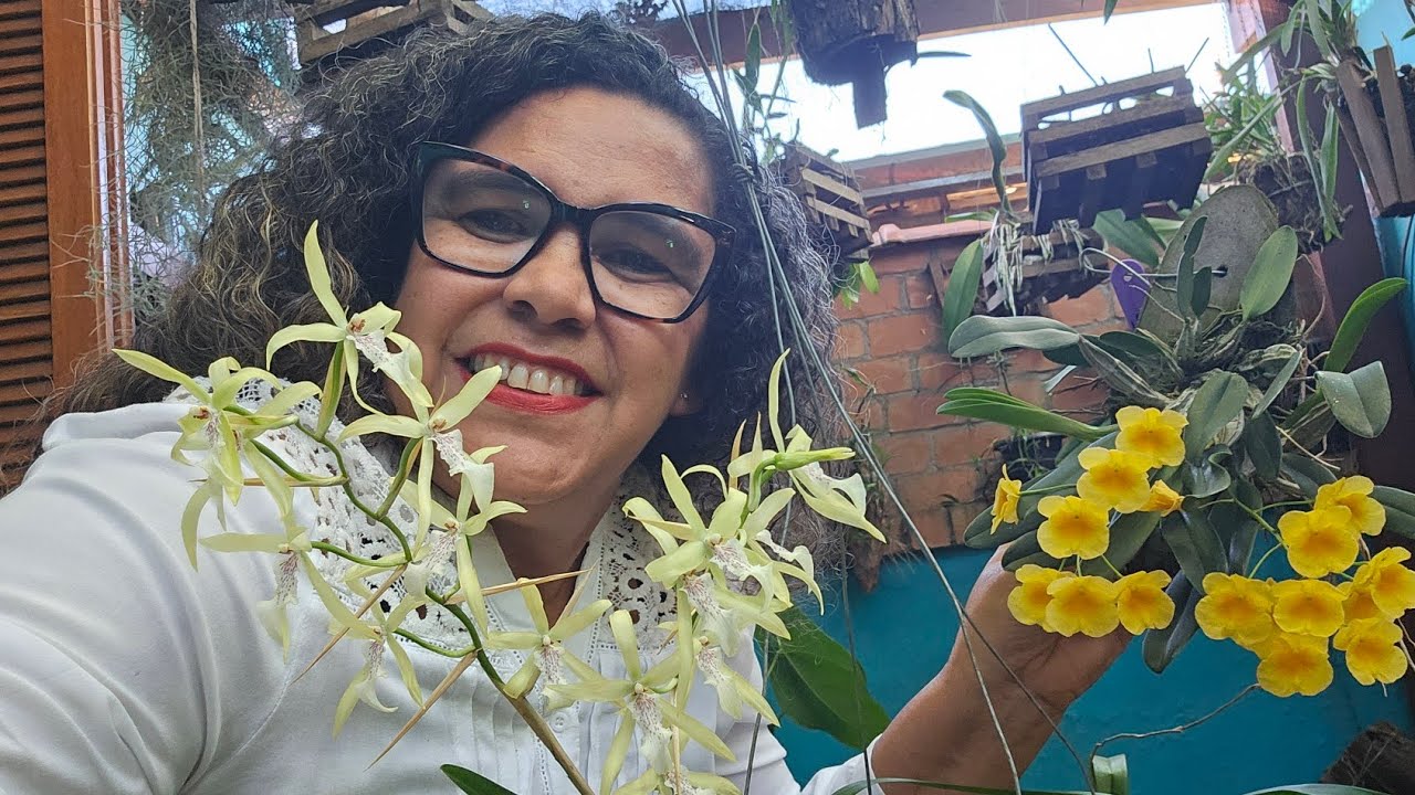 COMO CULTIVAR SUAS ORQUÍDEAS ! DICAS INFALÍVEIS. PRIMAVERA PARTE 2 ...