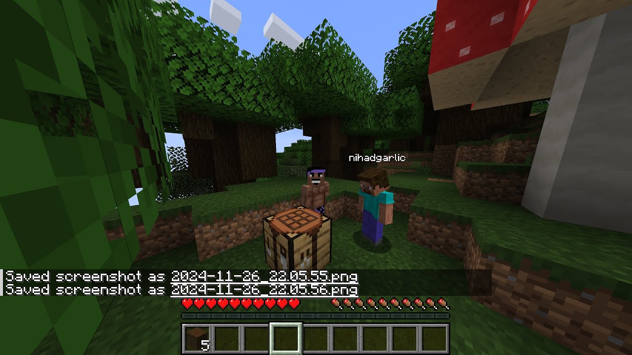 Playing minecraft as bo6 youtuber - YouTube