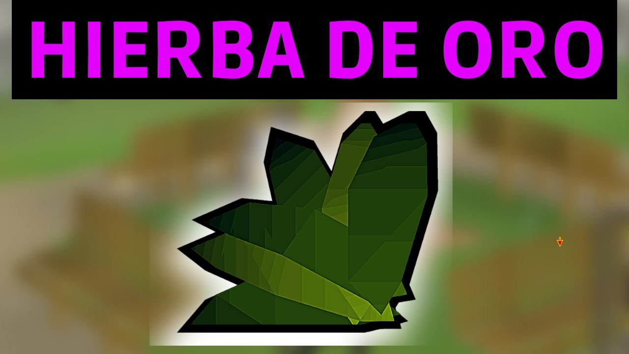 SUPER GUIA Como Subir Herblore 1-99 en OSRS RUNESCAPE - YouTube