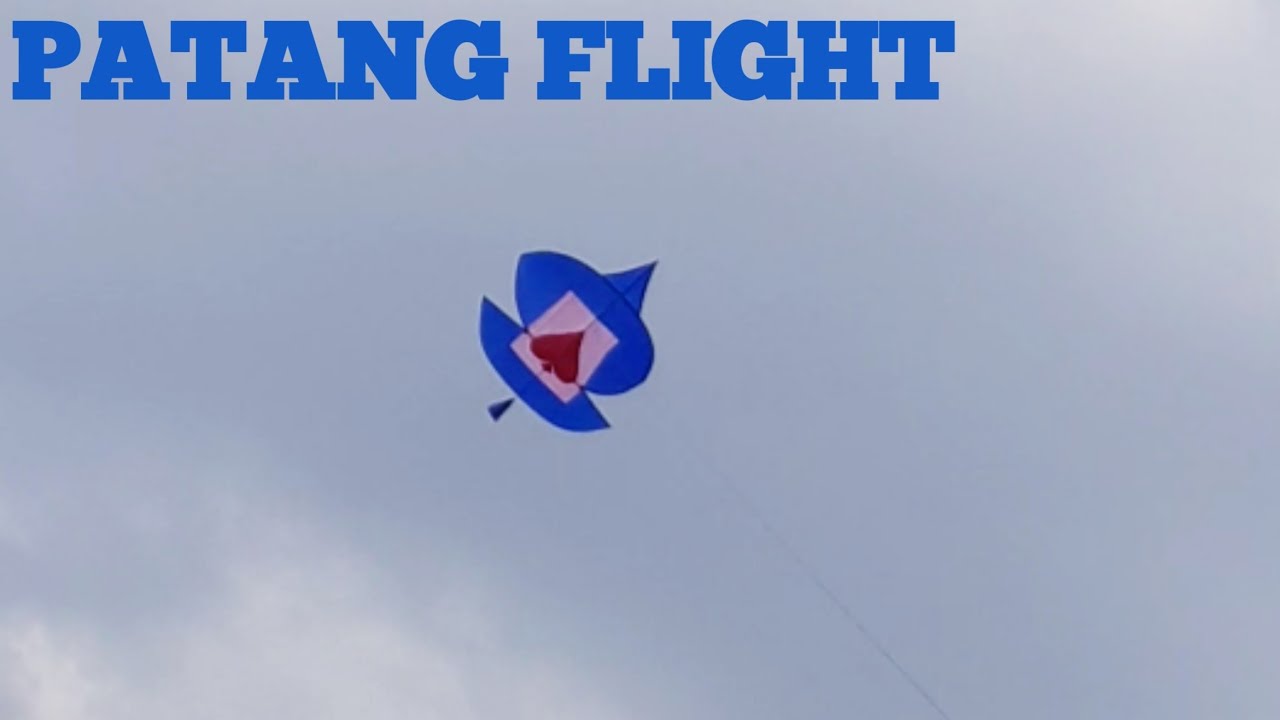 Beautiful Patang Flight (Tukal) // Size 5.5 Gitti💟💟SM Kites💟💟 - YouTube