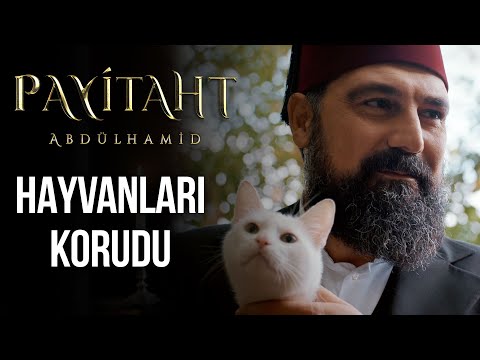 Abdülhamid sokak hayvanlarına eziyet eden adama haddini bildirdi - Payitaht Abdülhamid 123. Bölüm​