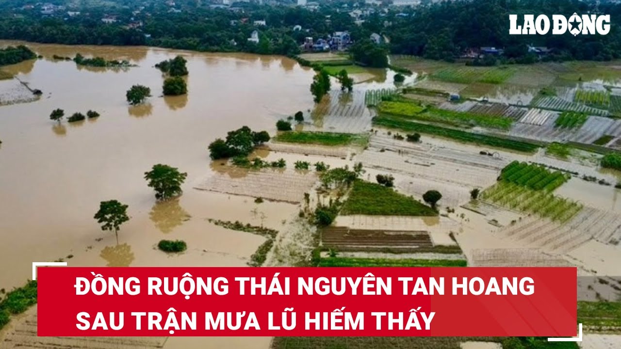 Đồng ruộng Thái Nguyên tan hoang sau trận mưa lũ hiếm thấy | Báo Lao ...