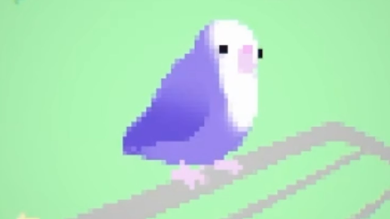 Cute indie game where you take pictures of birds | Toripon - YouTube