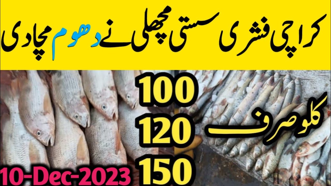 Karachi fishery today price update|Fish rates in Karachi today|@komal ...