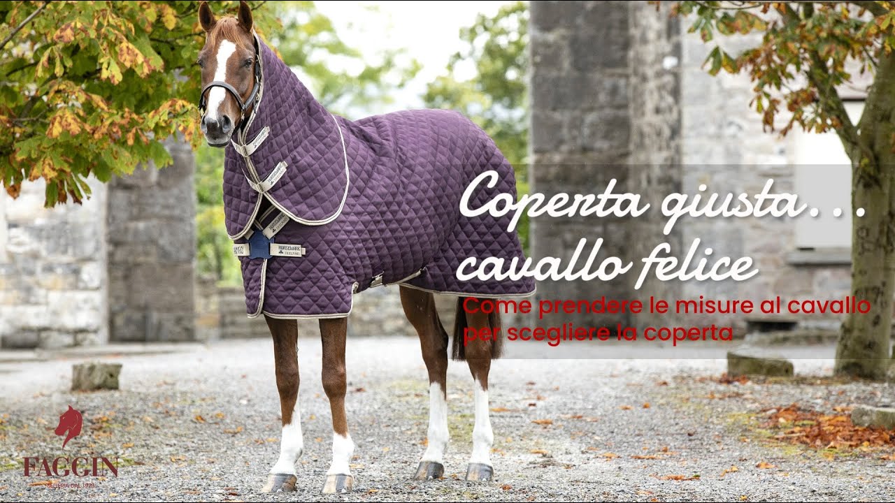 Come prendere le misure del cavallo per scegliere la coperta - YouTube
