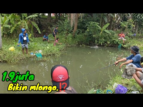 BONCOS GEDEN.‼️ Mancing borongan tidak sesuai harapan