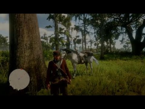 Red Dead Redemption 2 Carolina Parakeet Location - YouTube