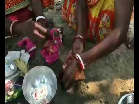 Hindistan'da tarımla uğraşan halk, yağmur tanrısını memnun etmek için bir çift kurbağayı evlendirdi.