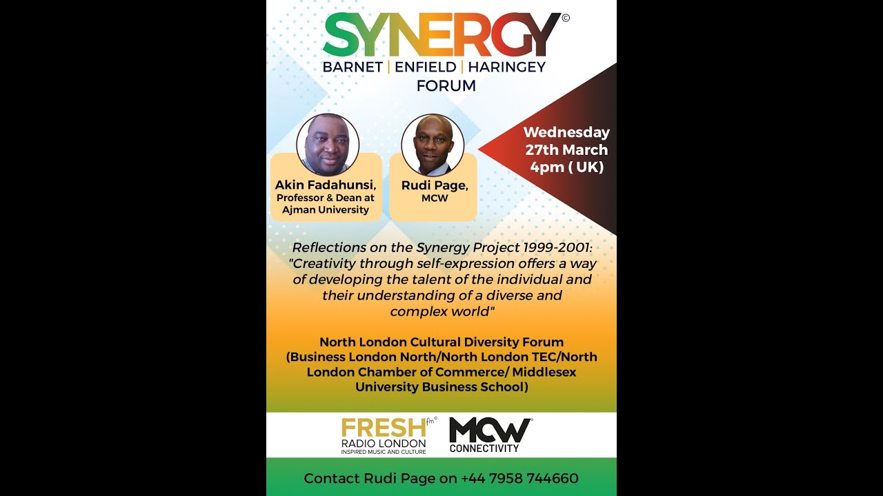 Prof. Akin Fadahunsi, Ajman University reflections on the Synergy ...
