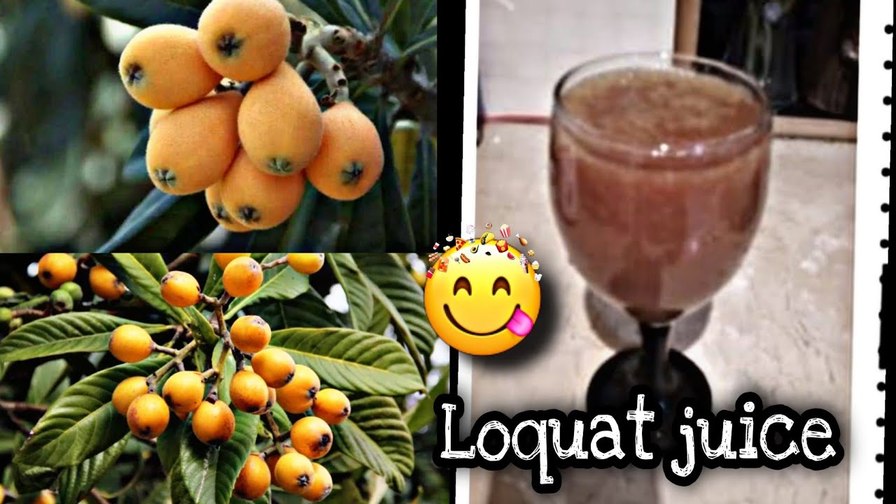 How to freeze loquat and make loquat juice - YouTube
