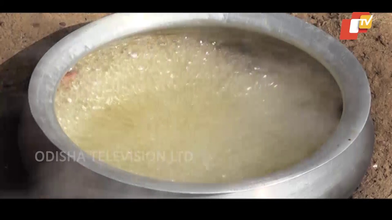 Taste of Odisha | Habisa Dalma | ହବିଷ ଡାଲମା - Odia Cusine - YouTube