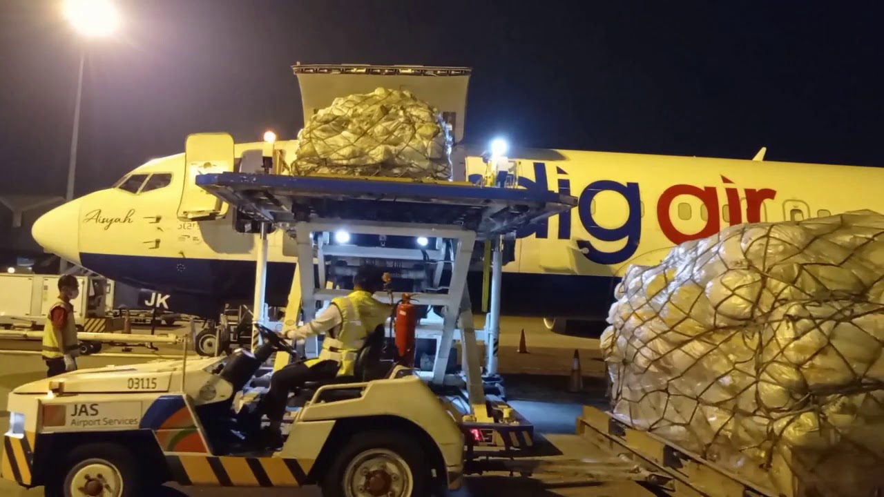 HANDLING PESAWAT CARGO CARDIG AIR THE BEST - YouTube