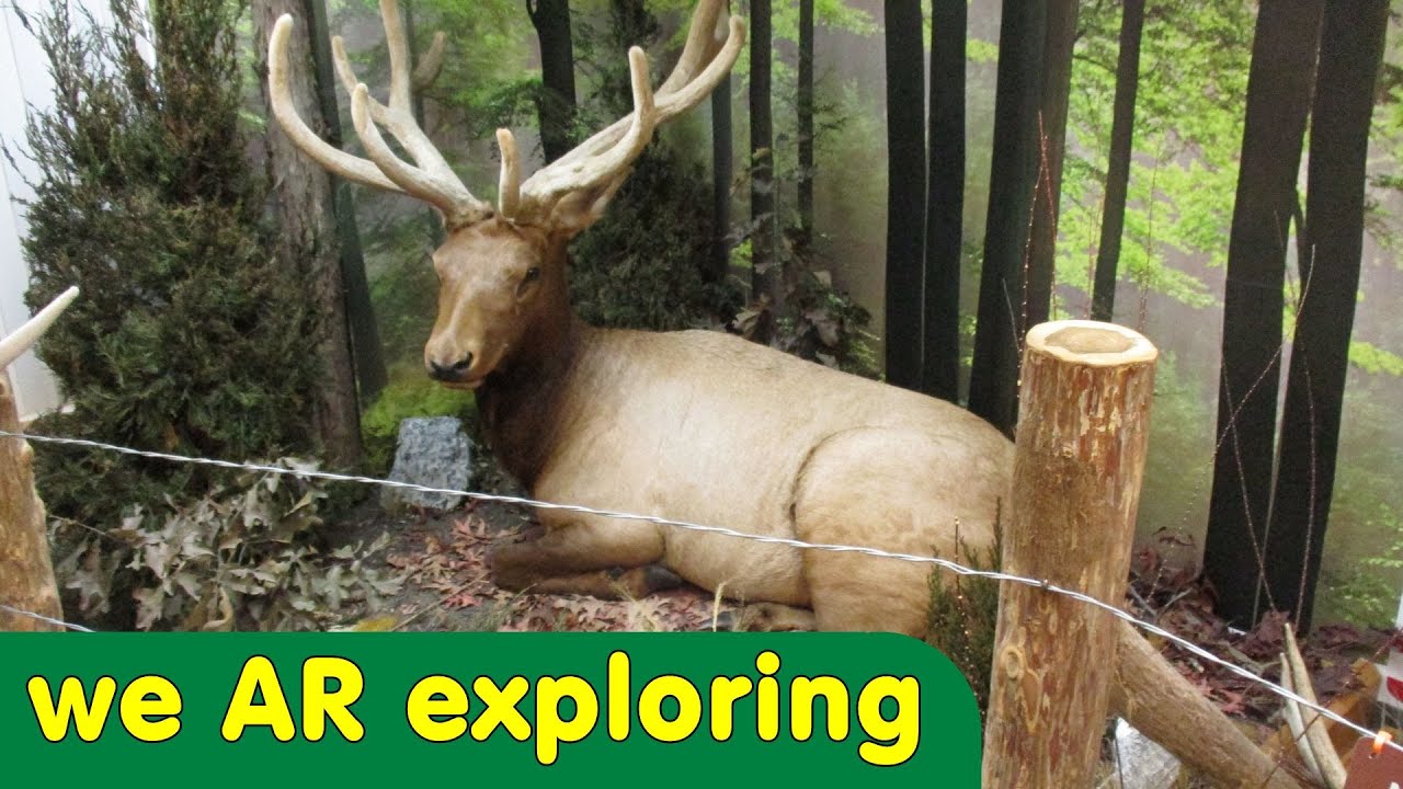 Ponca AR Part 1 • AGFC Elk Education Center (Ozarks) - YouTube