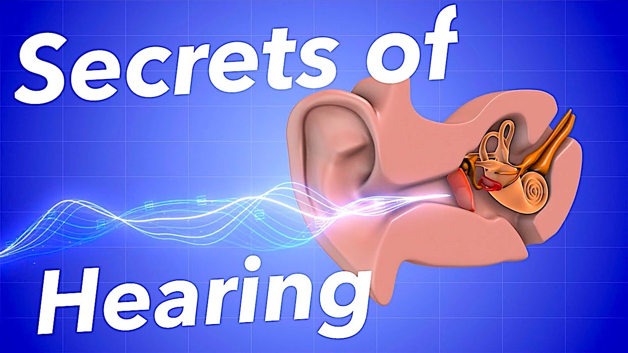 3 Secrets of Hearing in NOISE - YouTube