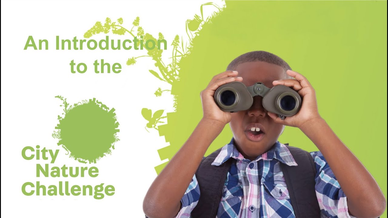 An Introduction to the City Nature Challenge (Deborah Barber) - YouTube