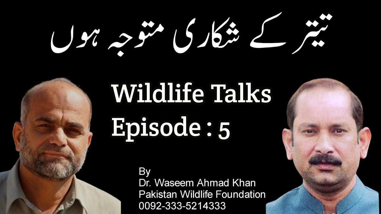 For The Hunters Of Partridge | Partridge Farming Idea | Rules For ...