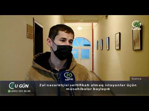 Zal nəzarətçisi sertifikatı almaq istəyənlər üçün müsahibələr başlayıb