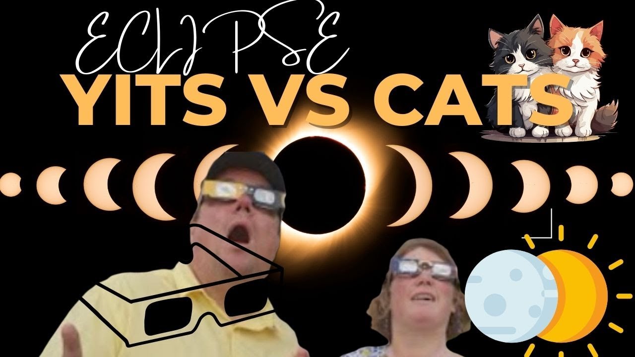 Eclipse for Dummies: How NOT to Blind Yourself! FT YITS VS CATS - YouTube