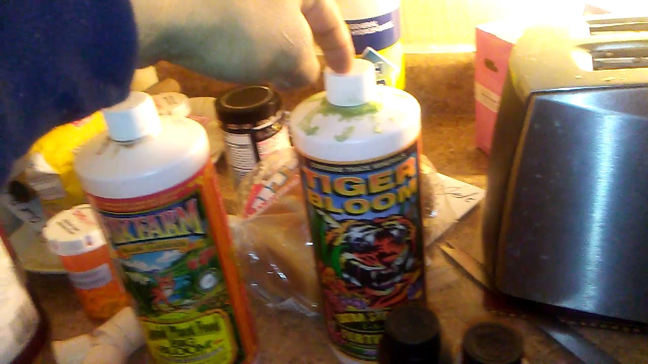 3rd ak47 autoflower week 9 day 63 - YouTube