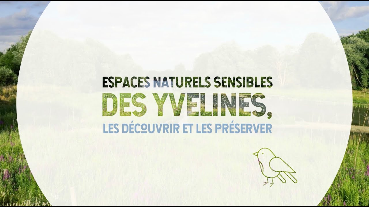[GUIDE] : Explorer et protéger la nature - YouTube