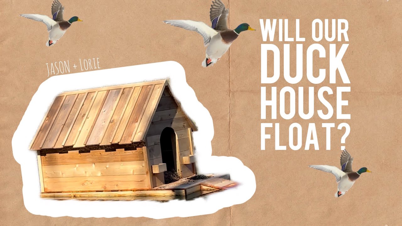 Will our DIY Duck House float or sink?! - YouTube