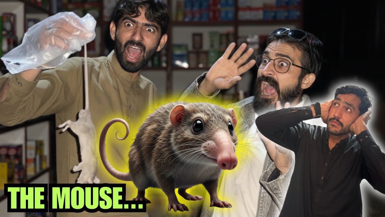 ITNE TIME SE SHOP MEIN MOUSE! JACKET AUR ITEMS SAB KUCH KHARAB KAR DIYA ...