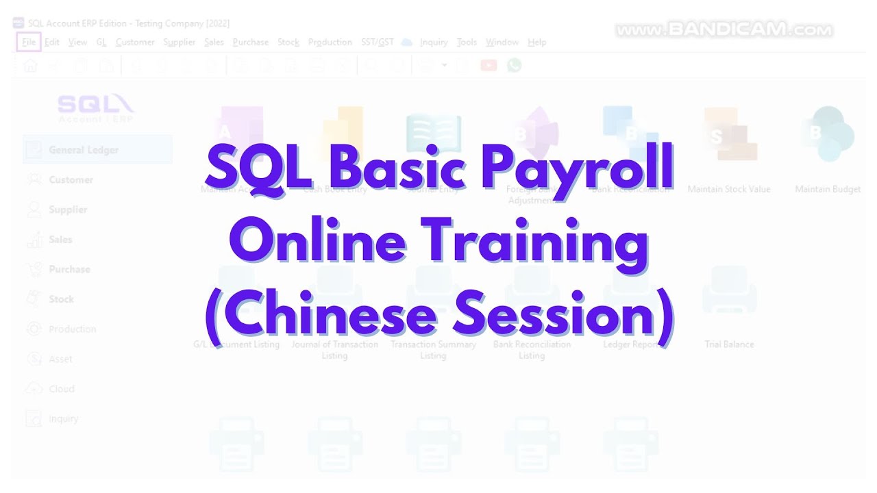 SQL Basic Payroll Online Training (Chinese Session) - Recorded Video 25 ...