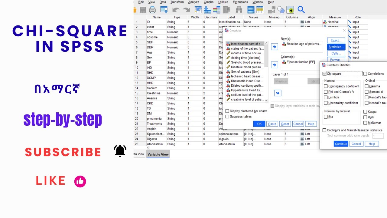 SPSS በመጠቀም Chi-square test መስራት| Step-by-Step Tutorial - YouTube