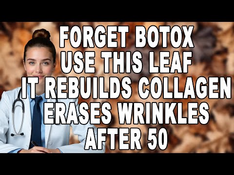 Gynecologist Explains: Bay Leaf Will Erase Wrinkles and Rebuild Collagen Naturally | Women Over 50
