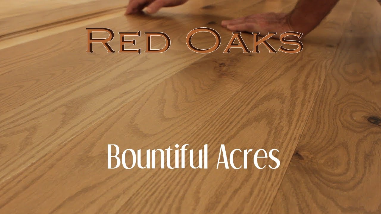 Bountiful Acres - YouTube
