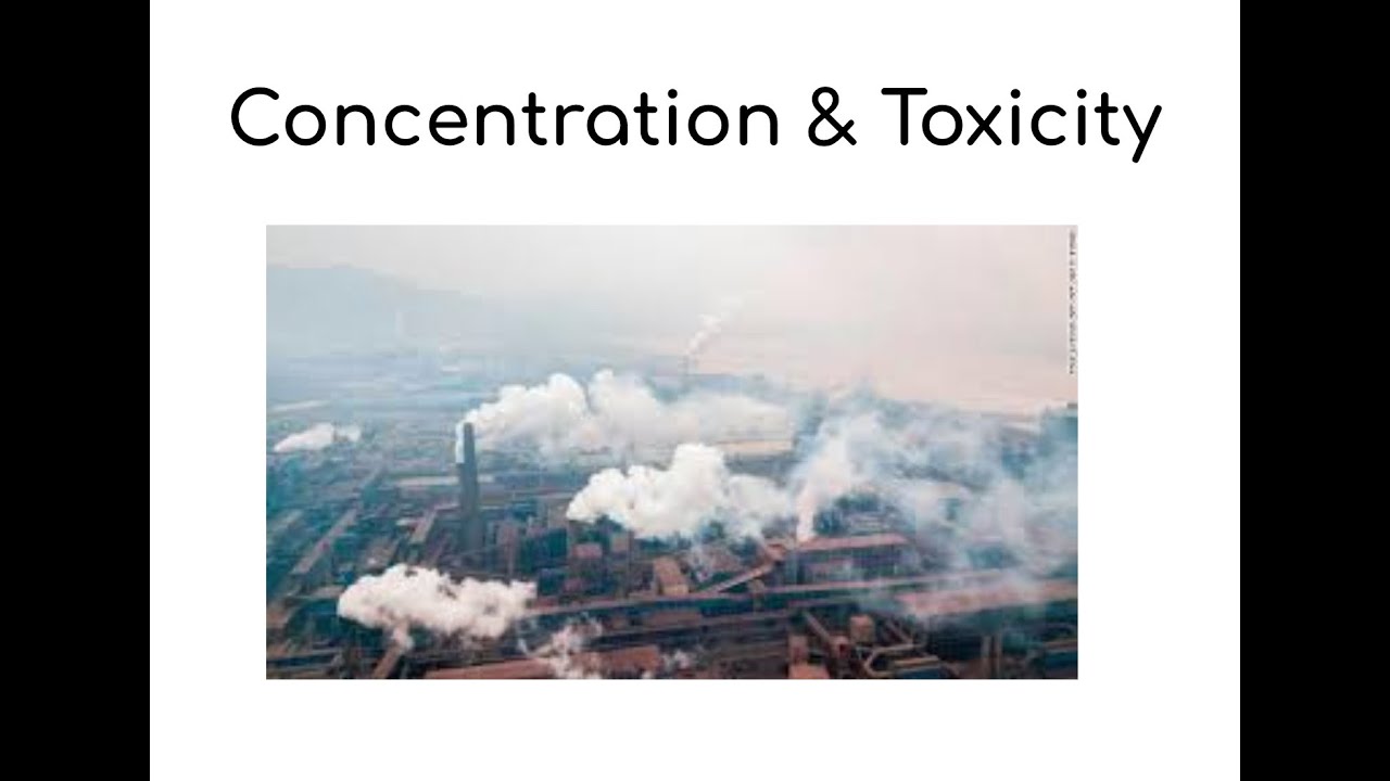 Concentration & Toxicity - YouTube