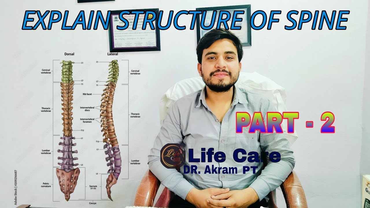 Anatomy of Spine and Structural DEFORMITY By | Dr Akram | PART - 2 # ...
