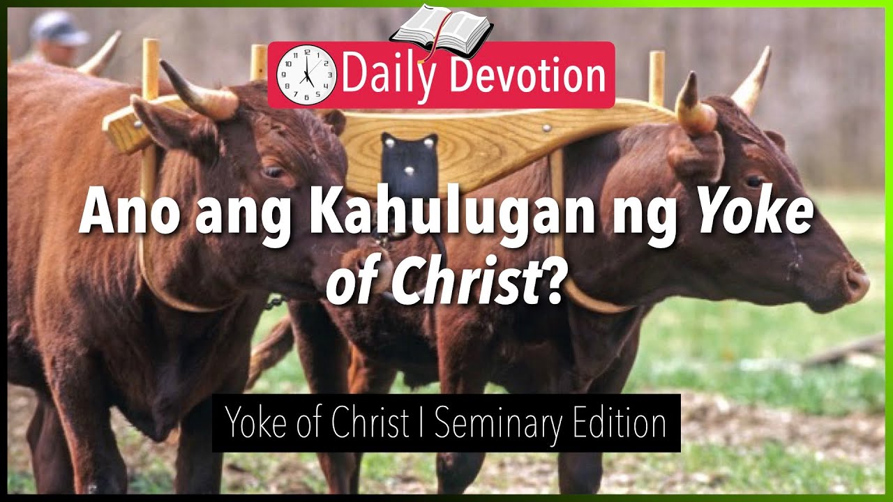 November 21: Ano ang Kahulugan ng Yoke of Christ? - Yoke of Christ ...