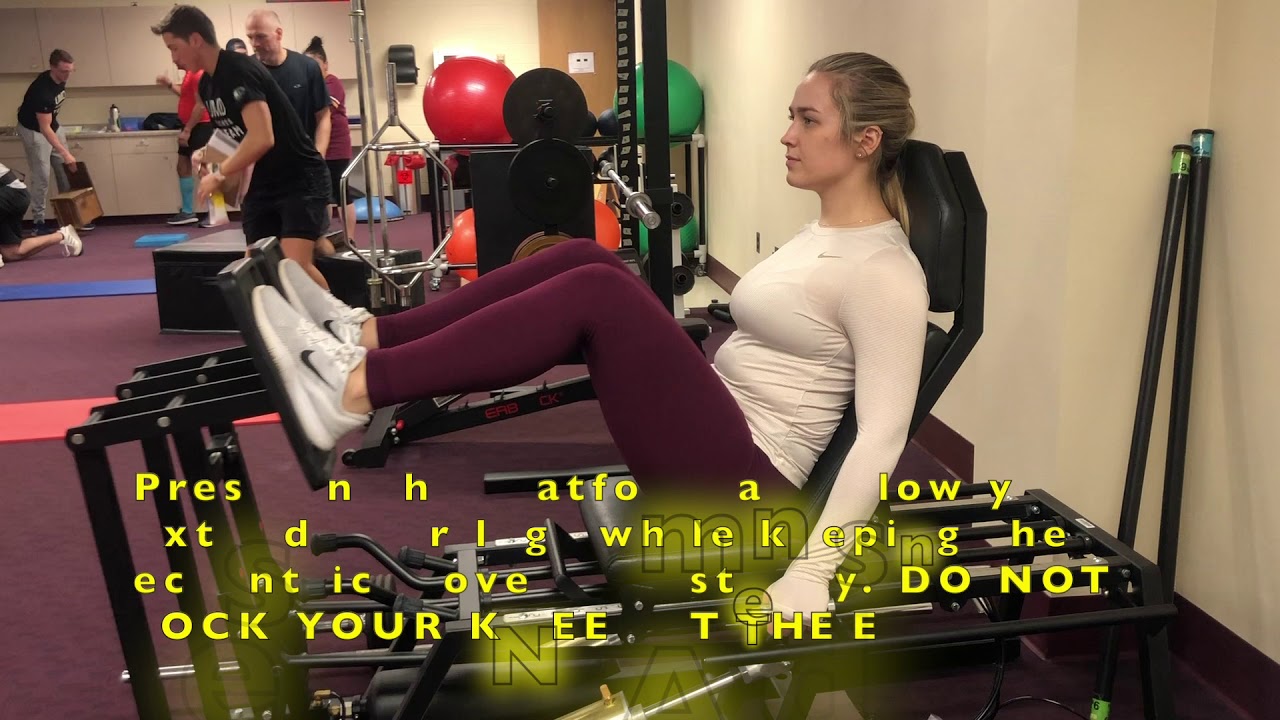 Leg Press: Exercise Demo - YouTube