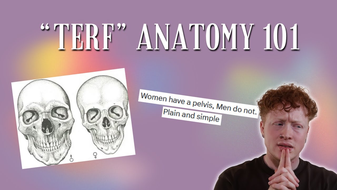 "MEN DON'T HAVE A PELVIS!!" | BAD TRANS ANATOMY - YouTube