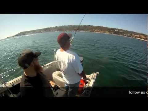 Halibut Hunters catch rare footage 7lb california halibut must see ...