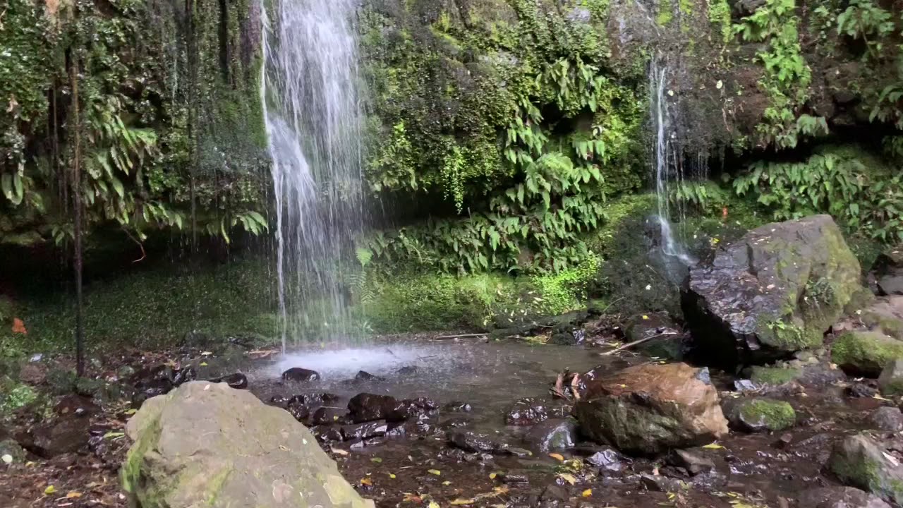 Newton’s Waterfall, Akaroa, Canterbury - YouTube