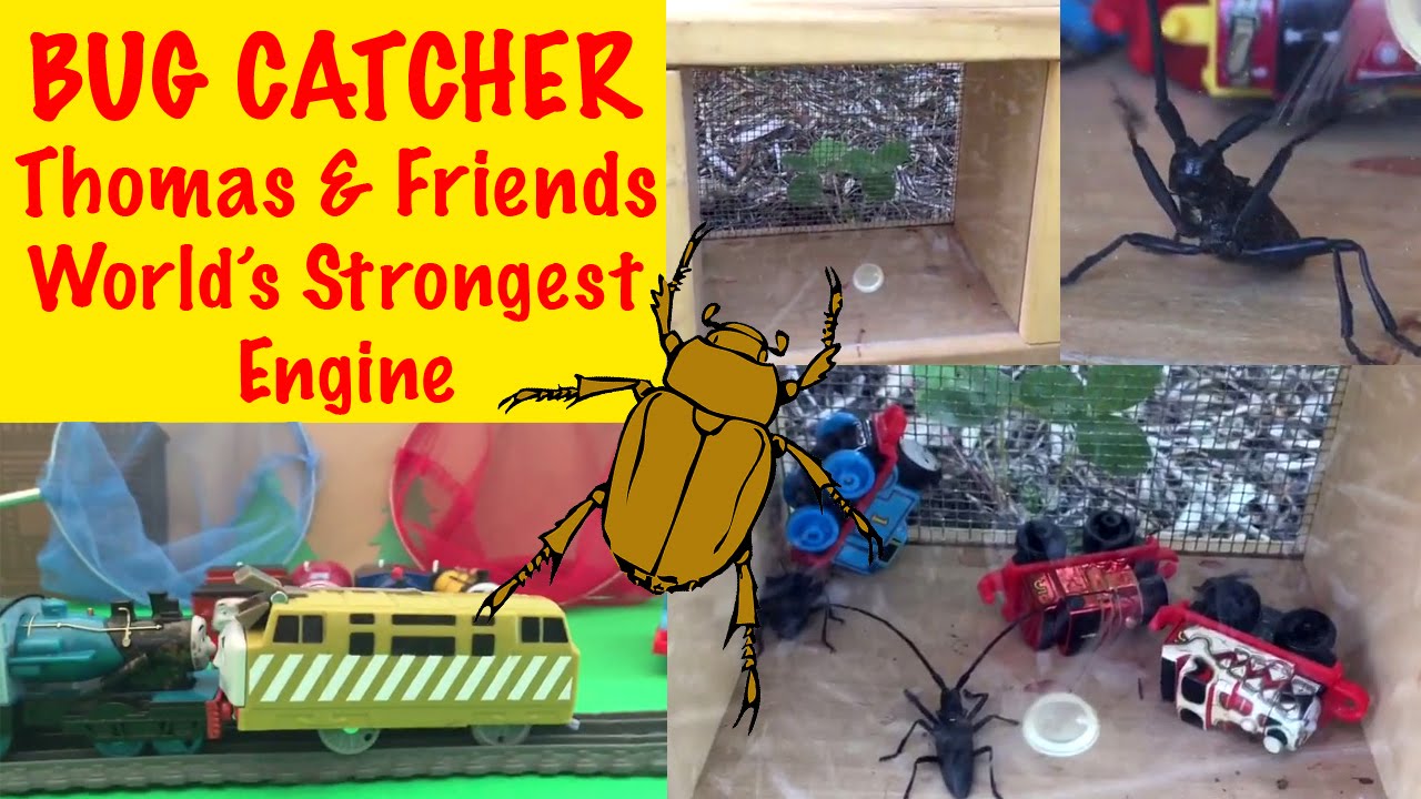 Bug Catcher Edition!!! - Thomas and Friends World's Strongest Engine ...