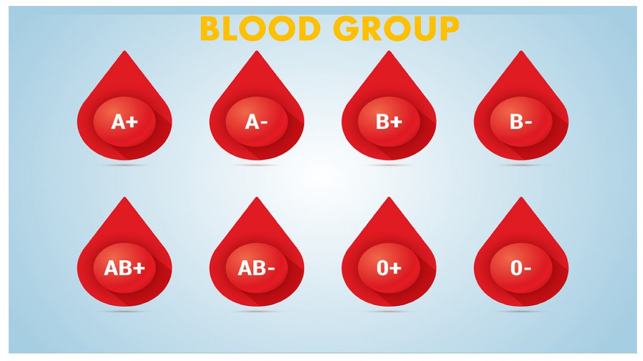 THE BLOOD PART-4 II BLOOD GROUP II SOHAN PATEL - YouTube