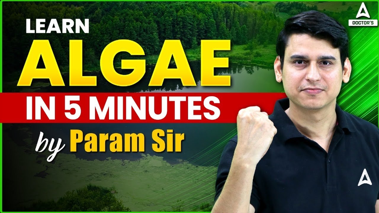 NEET BIOLOGY : LEARN ALGAE IN 5 MINUTES | Plant Kingdom Class 11 NCERT ...