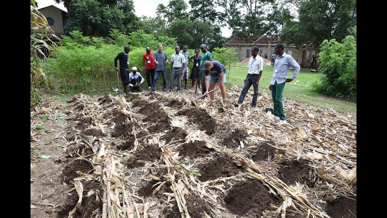 Growing Impact Among Subsistence Farmers YouTube growing-impact-among-subsistence-farmers-youtube