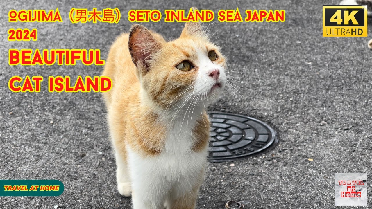 4k hdr japan travel 2024 | Walk in Ogijima（男木島）Seto Inland Sea japan ...