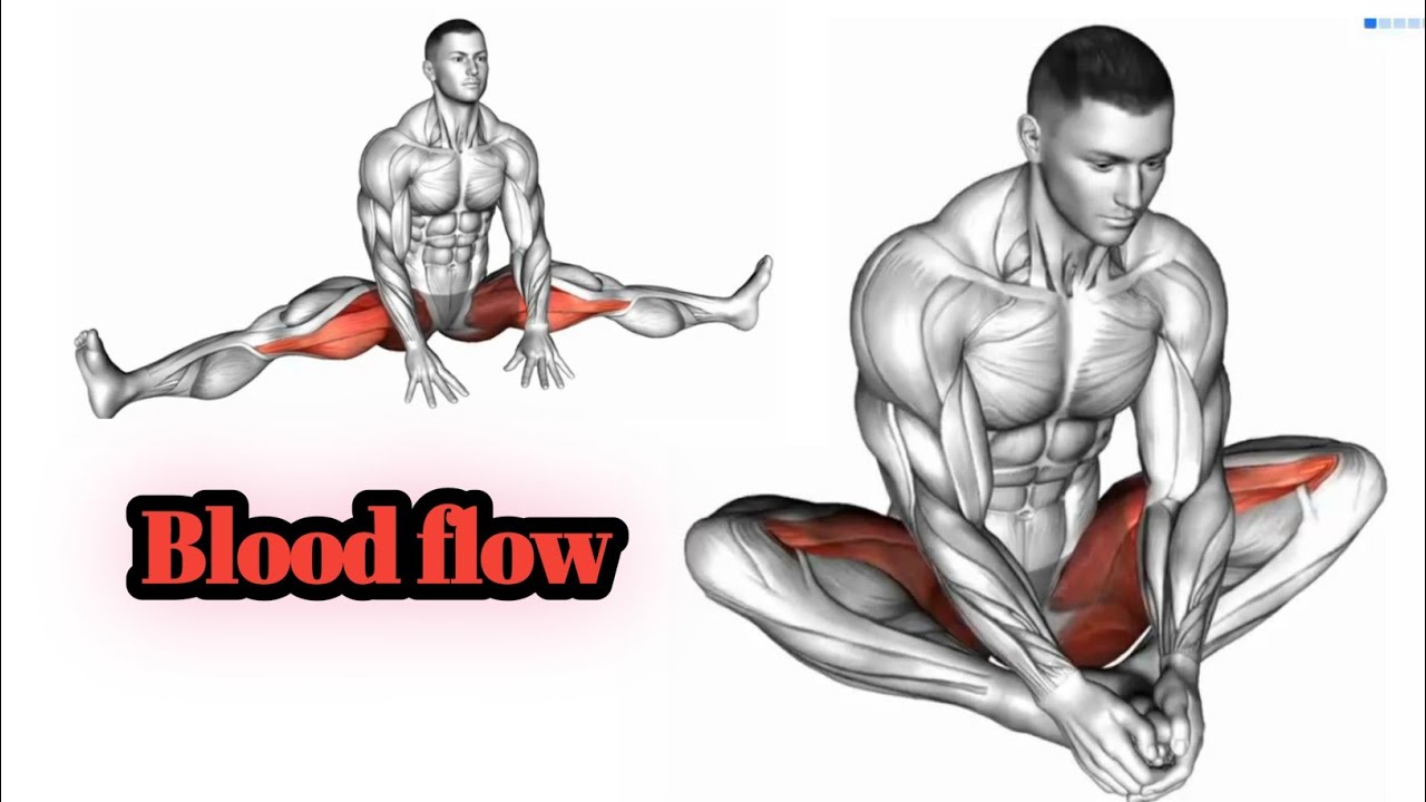 How to Increase Blood flow on pelvic best exercises - YouTube