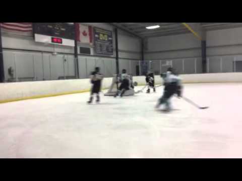 Prowl hockey - YouTube