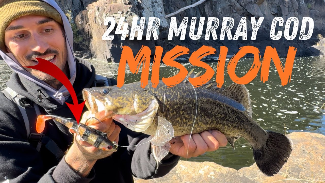 Overnight Mission Fishing The Severn River For Murray Cod Northern NSW! - YouTube