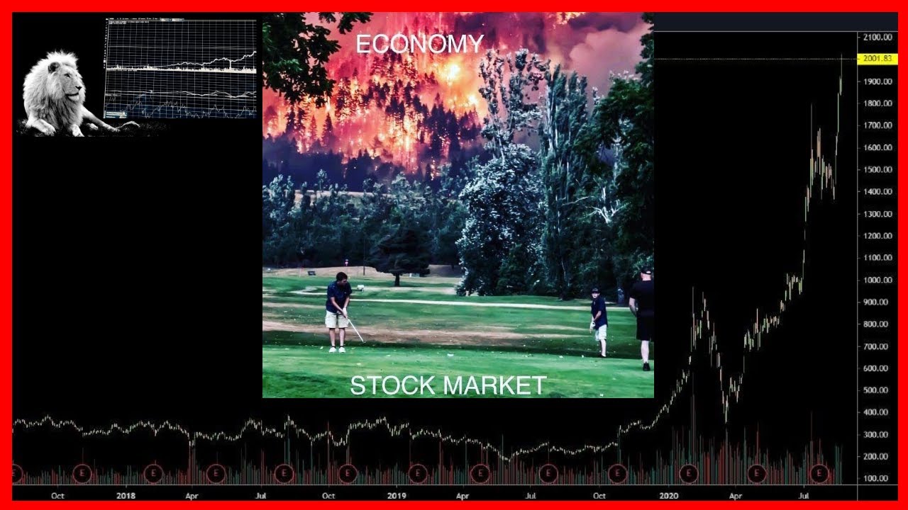 Stocks Only Go UP 🚀 - YouTube