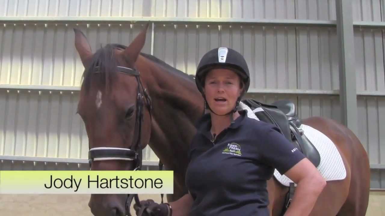 Fiber Fresh Feeds Equine TV: EP 32 - Approach Conditioning - YouTube
