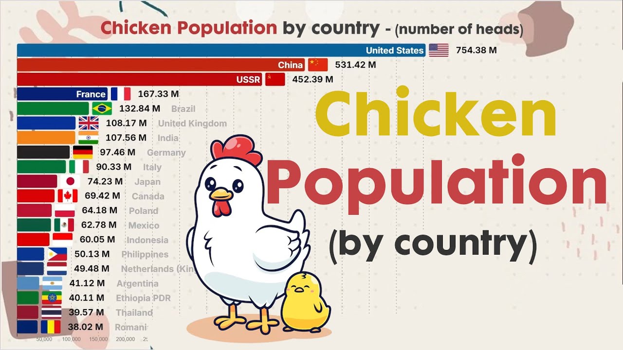 CHICKEN POPULATION BY COUNTRY - YouTube