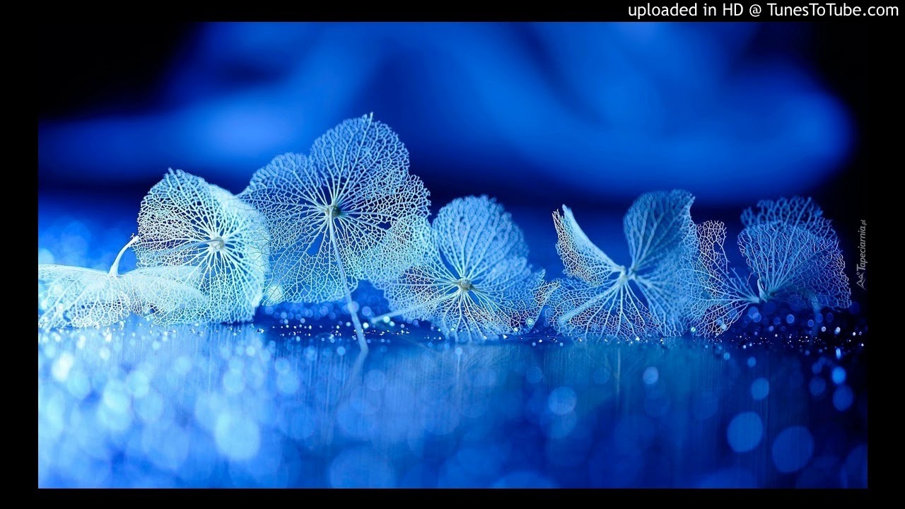 Josh Gallahan - Shades Of Love - YouTube