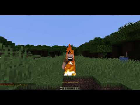 [OFFICIAL] Lib's Disguises how to save a skin and disguise - YouTube